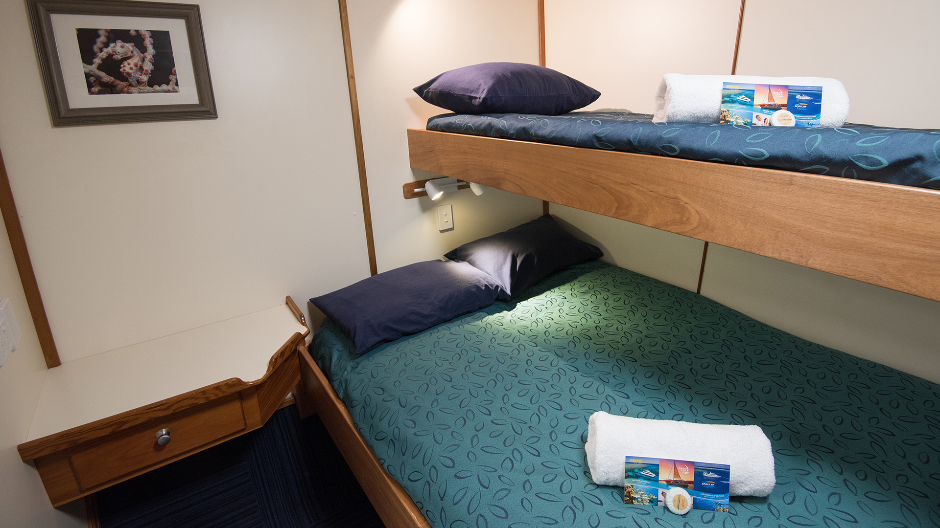 Guest Cabins - Spirit of Freedom