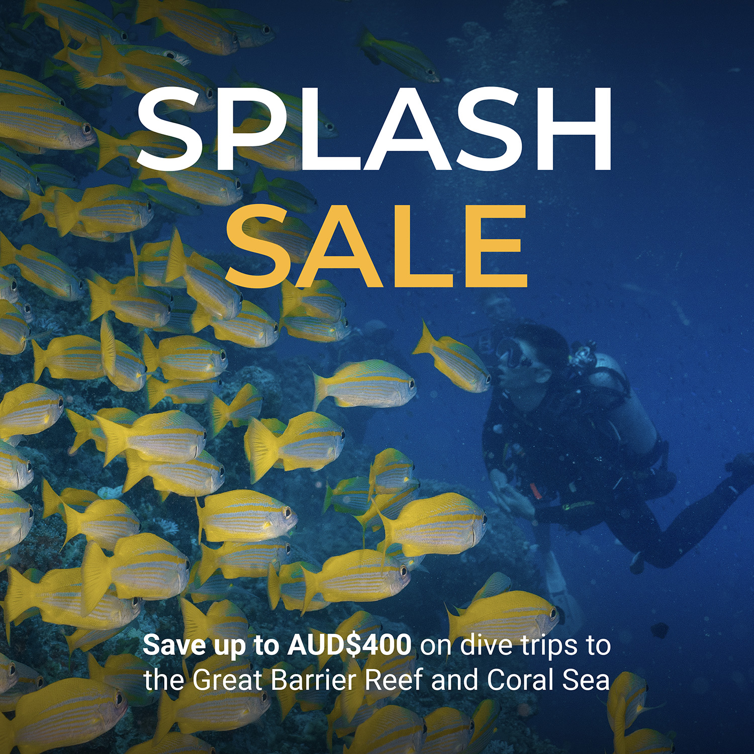 Spirit of Freedom Promo Code: Summer Splash Sale 2026
